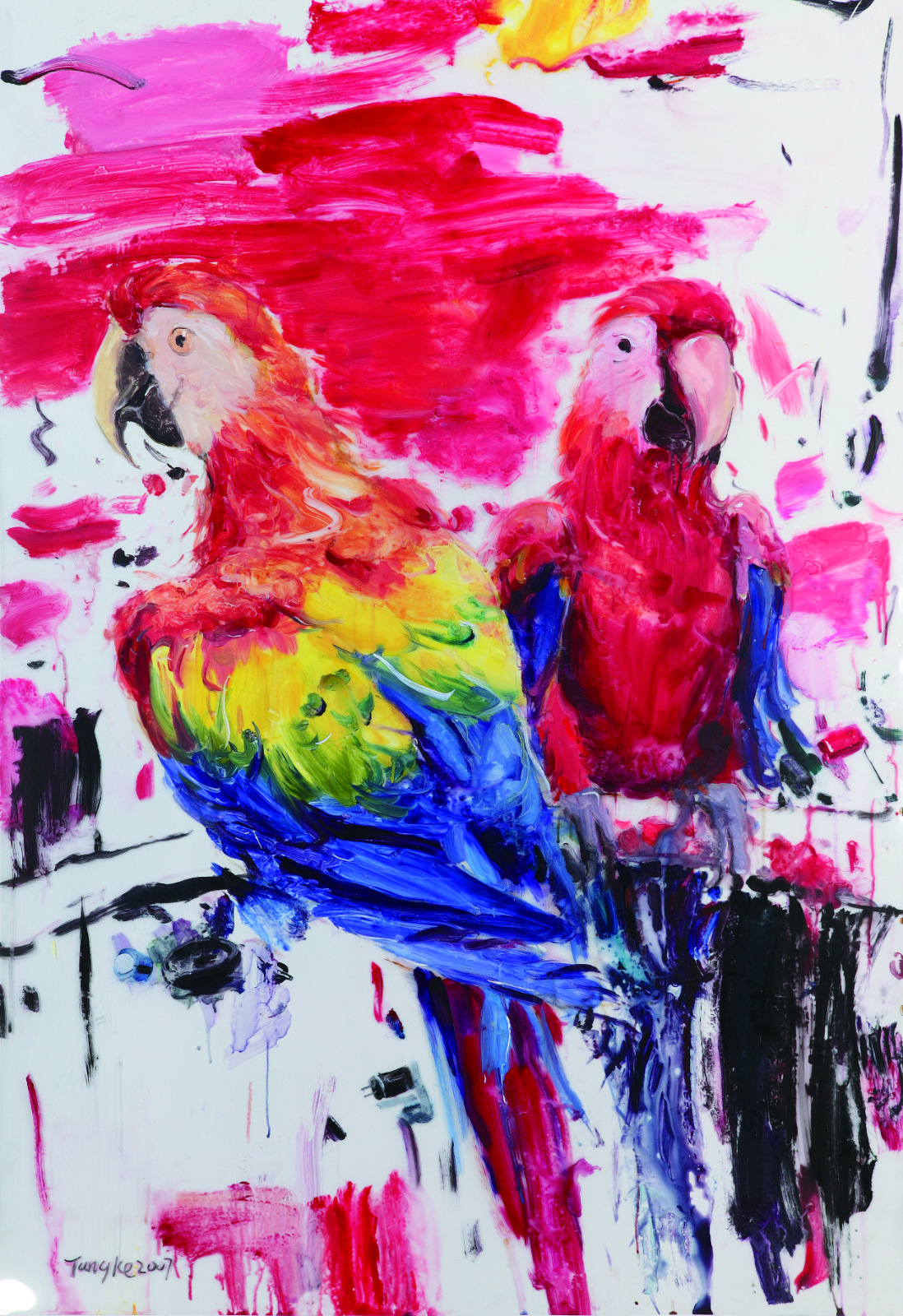 Parrots Unleashed | Prestige Gallery