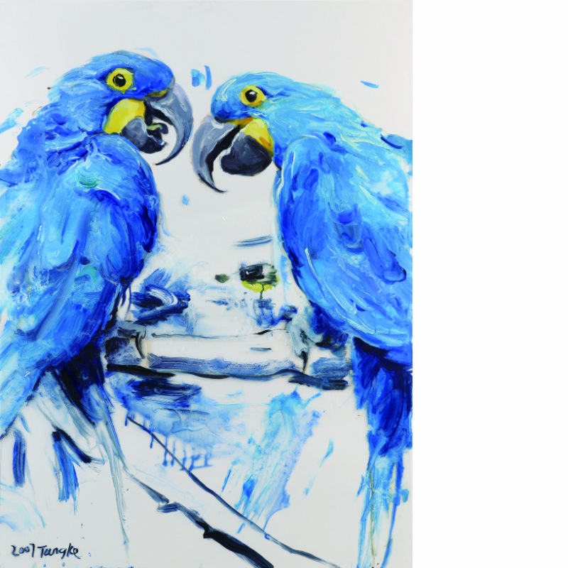 Parrots Unleashed | Prestige Gallery
